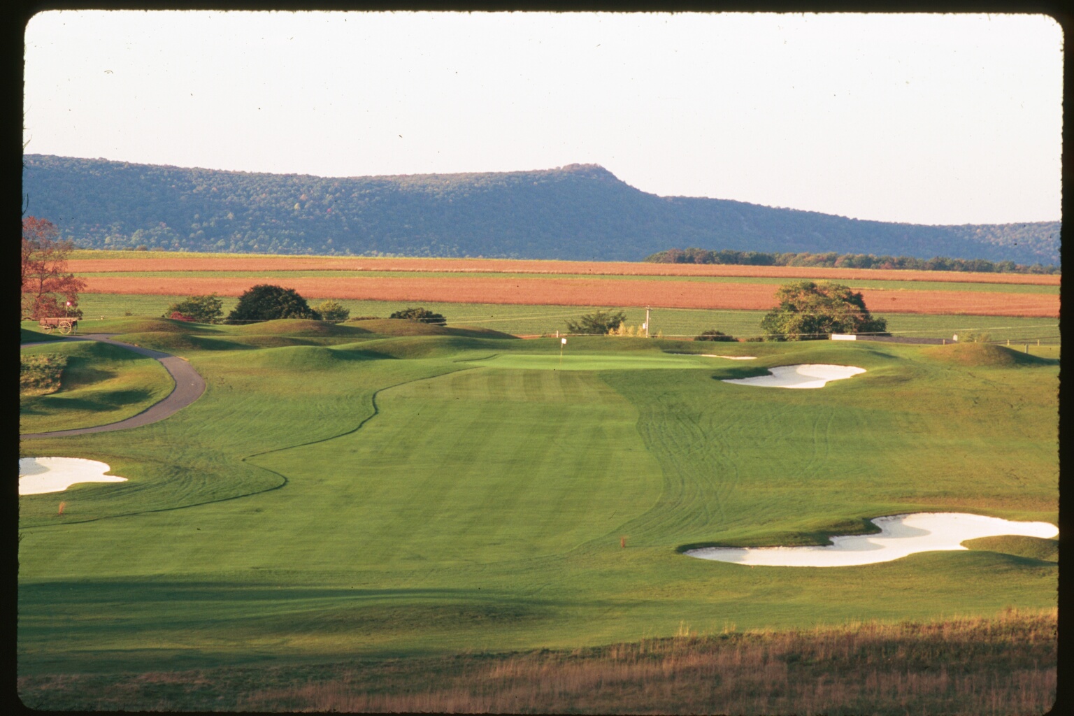 Olde Homestead Golf Club - Womens Golf Day