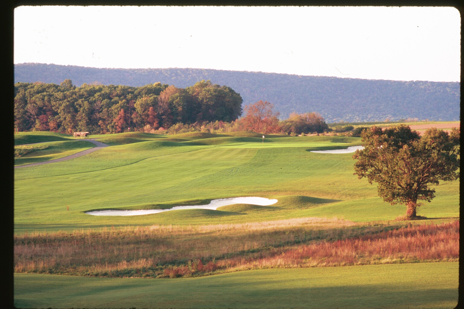 Olde Homestead Golf Club - Womens Golf Day
