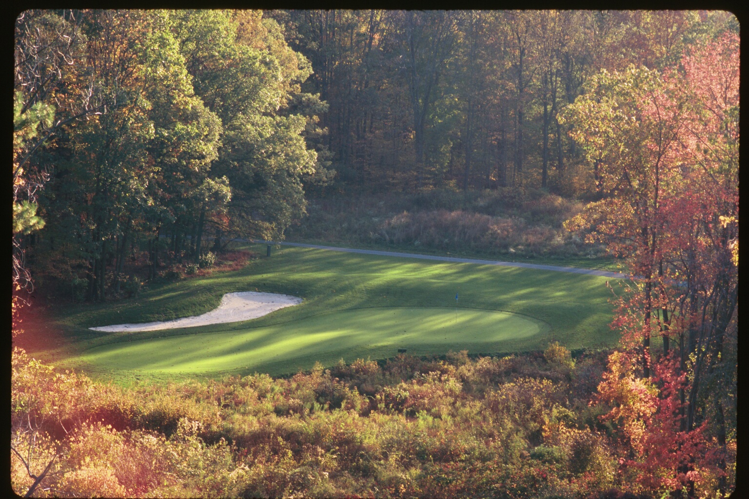 Olde Homestead Golf Club - Womens Golf Day