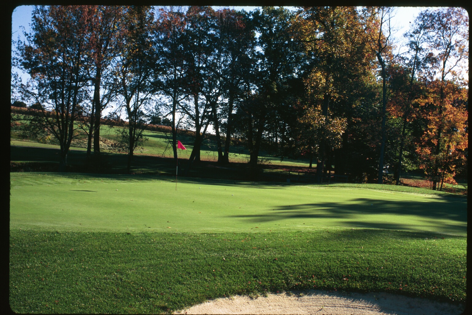 Olde Homestead Golf Club - Womens Golf Day